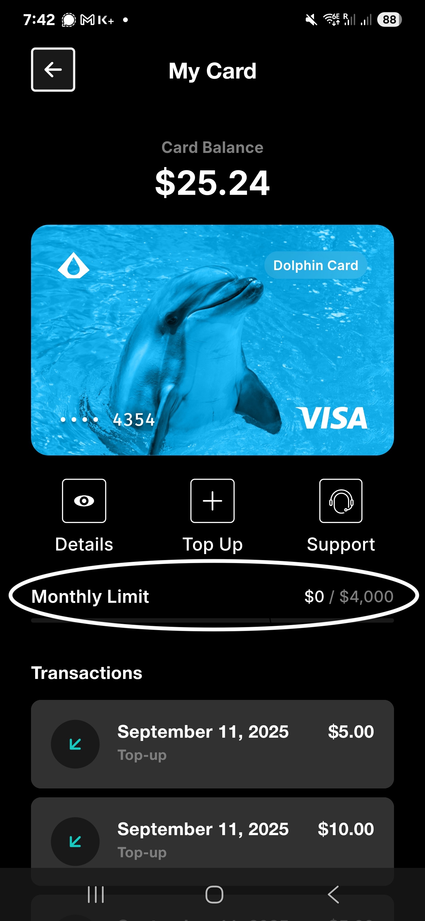 Why was my Dolphin Card transaction declined? – JAN3